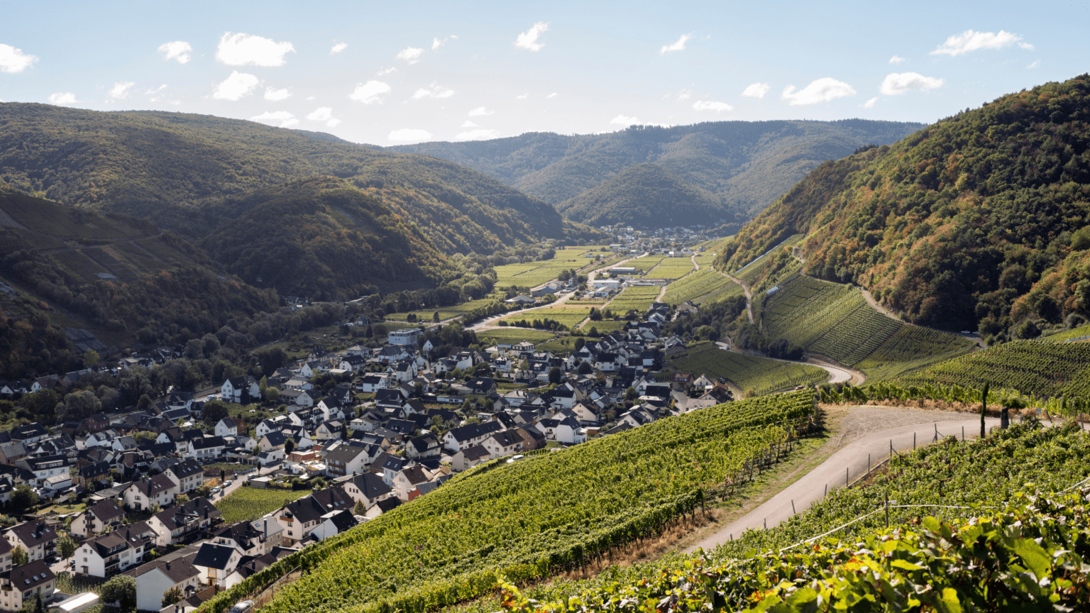 The Ultimate Guide to the Ahr Wine Region: Germany’s Hidden Red Wine Gem